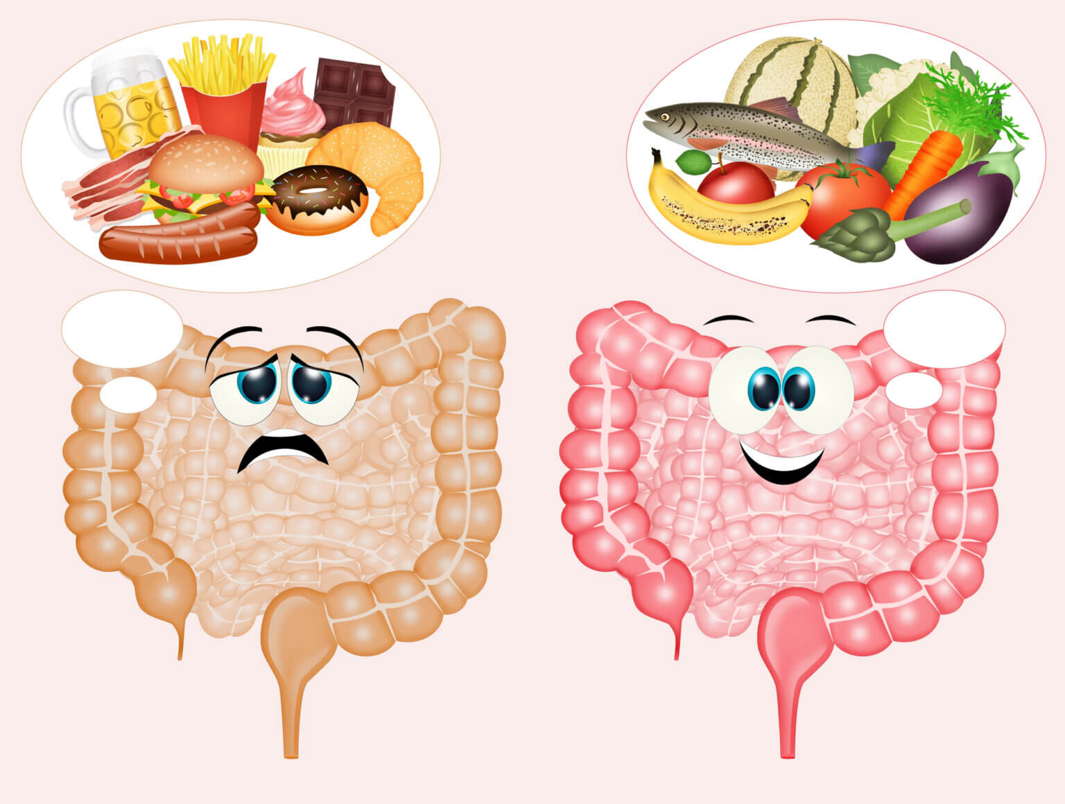 Signs of Bad Gut Health: Key Symptoms and What They Mean